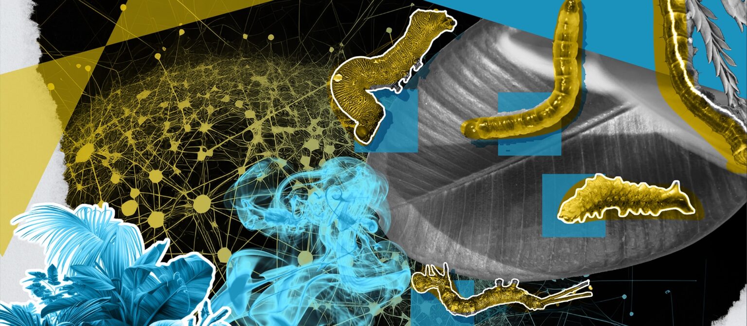 Unités de recherche - Institut de biologie