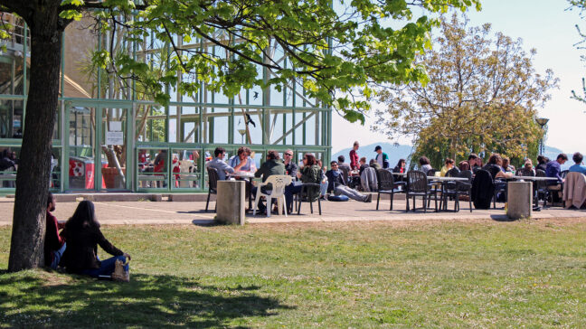 Home - Study at UniNE