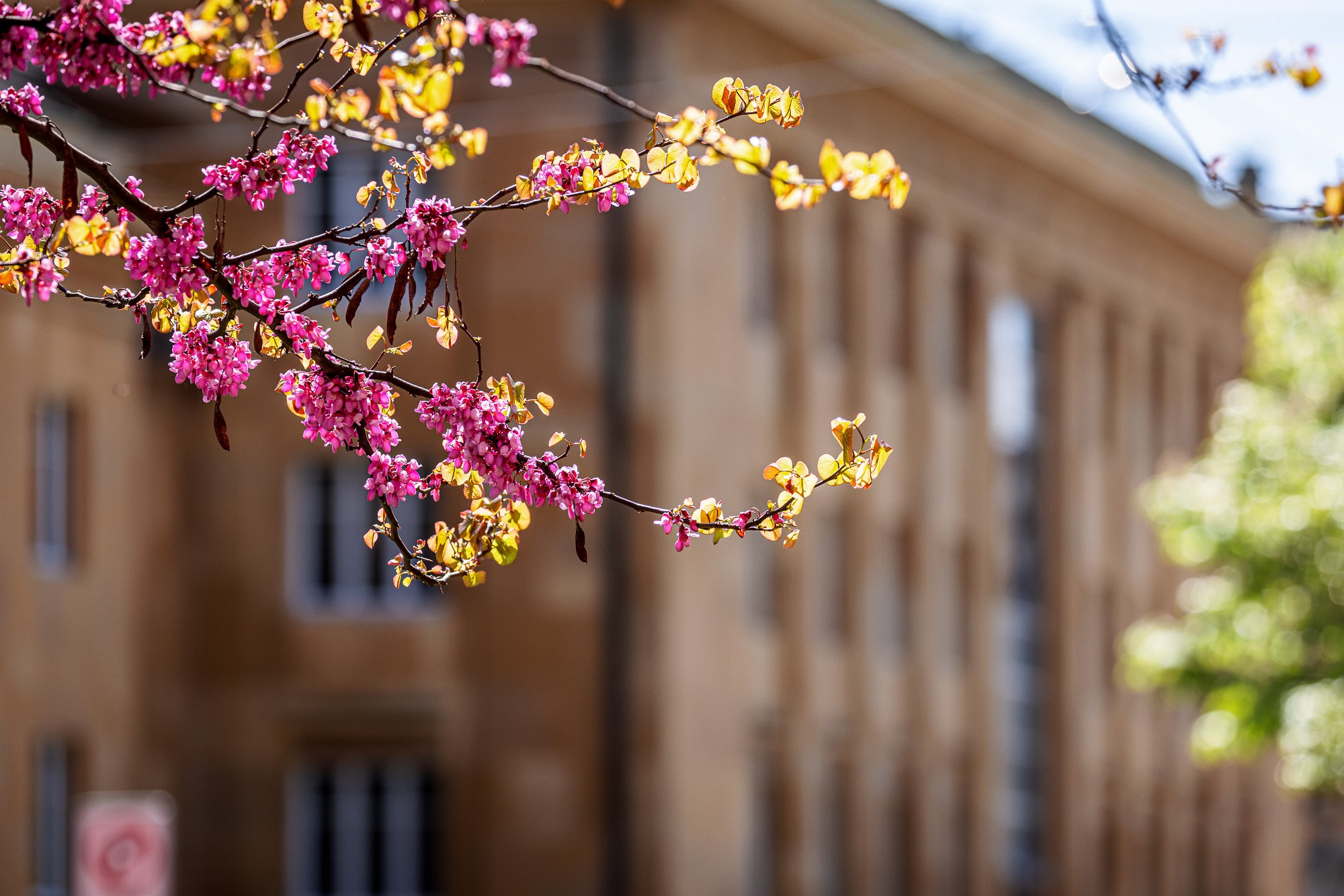Valeurs - Université de Neuchâtel